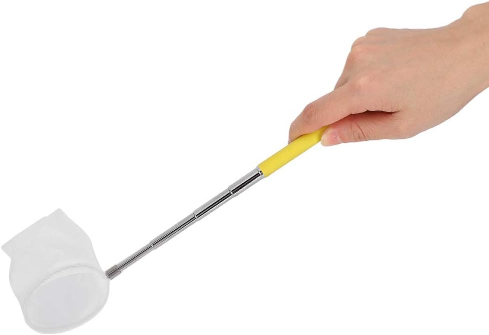 Buy Small Aquarium Fish Net Telescopic Pole Fish Shrimp Catch Nets ...