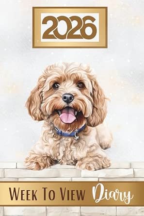 Week To View Diary 2026: Apricot Beige Cockapoo Weekly & Monthly ...