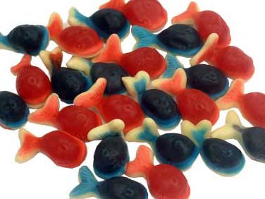 Amazon.com : Gummy Whales, 2.2 lbs : Gummy Candy : Grocery & Gourmet Food