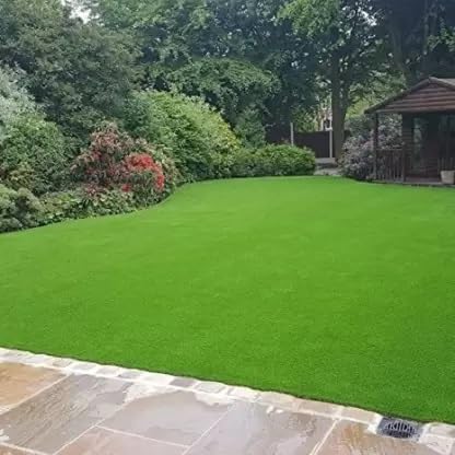 mat grass seeds Pack Of 7000 : Amazon.in: Garden & Outdoors