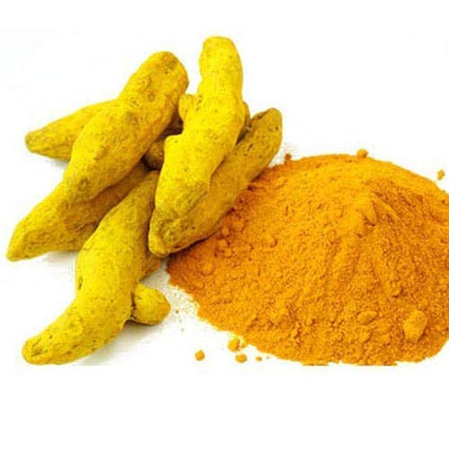 Buy RAGHUVANSHAM Pure & Healthy Turmeric Powder Masala/Haldi Powder ...