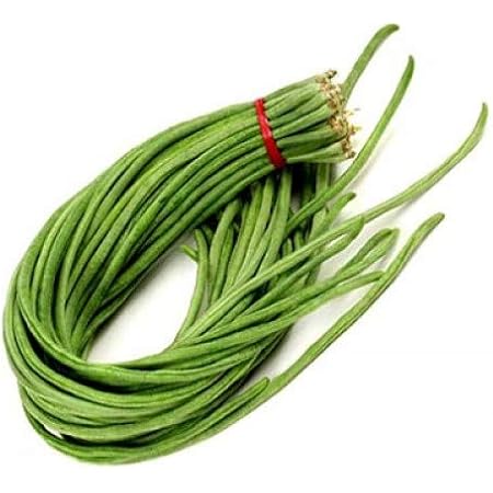 MaliaGarden Green Cowpea - Long Bean - Barbati - Hybrid Vegetable Seeds ...