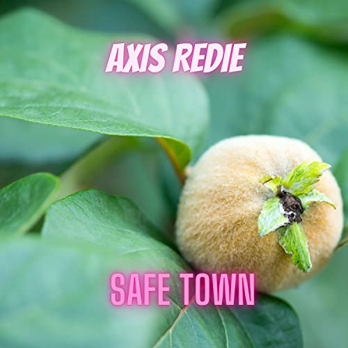 Amazon.co.jp: Safe Town : Axis Redie: Digital Music