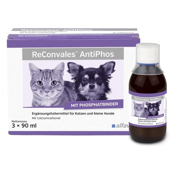 Semintra Katze – Die 16 besten Produkte im Vergleich & Angebote ...