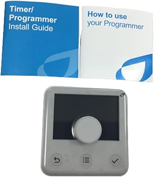 BRITISH GAS Dual Channel Programmer Type DCP : Amazon.co.uk: DIY & Tools