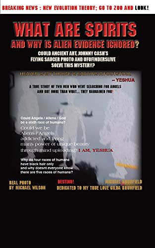 WHAT ARE SPIRITS AND WHY IS ALIEN EVIDENCE IGNORED? eBook : BRUMFIELD ...