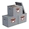 Amazon.com - Clutter Cure 3 Pack Large Fabric Storage Bins with Lid ...