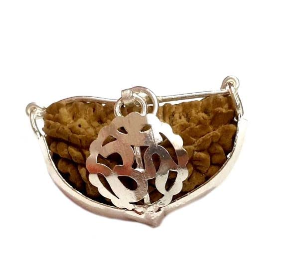 Hdbg Natural 1 Mukhi Rudraksha Original Certified with Pure Silver ...