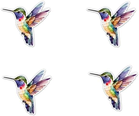 Amazon.com - Altok Graphics Pack of 4-3 Inch Hummingbird Stickers ...