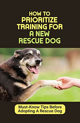 How To Train A Rescue Dog
