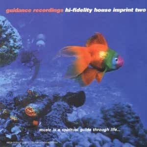 Hi Fidelity House Vol II: Compilation, Riley a.: Amazon.fr: CD et Vinyles}