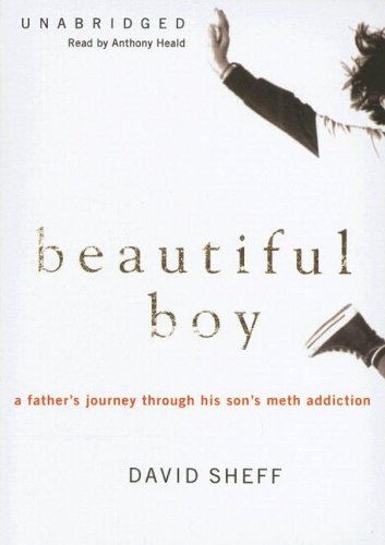 Beautiful Boy: A Father's Journey Through His Son's Meth Addiction ...