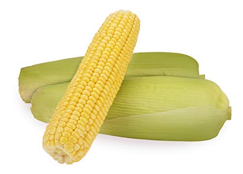 Fresh Fresh Sweet Corn - American, 1 Piece : Amazon.in: Grocery ...