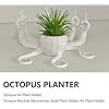 Amazon.com : RUIYUE Octopus Planter, Octopus Air Plant Holder, Octopus ...