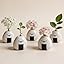 MOUGIGI 5 PCS Mini Flower Vase, Handmade Ceramic Rice Ball (Japanese ...
