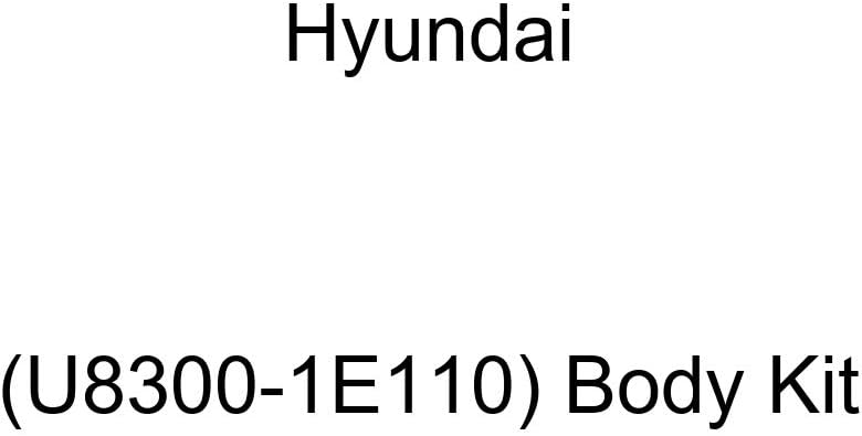 Amazon.com: Genuine Hyundai (U8300-1E110) Body Kit : Automotive
