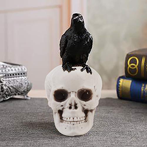 Coxeer Halloween Skeletons, 6PCS Plastic Realistic Fake Simulation ...