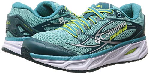 UTMF・STY2018を完走する為、山を走り続けるトレーニング開始。