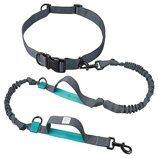 Top 15 Best Dog Leashes For Running Available in 2026 | PetStruggles
