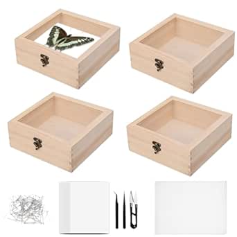 Insect Specimen Tools Kit, 4 Clear Top Wooden Box + 10 Sheets Thin ...
