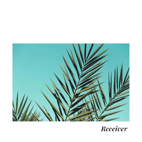 Play Receiver by Simon Paul Crabb on Amazon Music