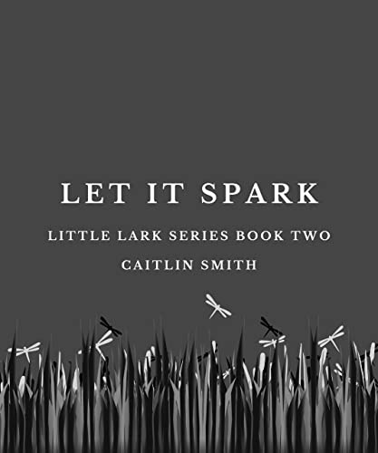Let It Spark: Little Lark Series Book Two - Kindle edition by Smith ...
