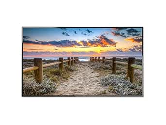 Amazon.com: NEC E556, 55" Led Commercial Display with Atsc/Ntsc Tuner ...
