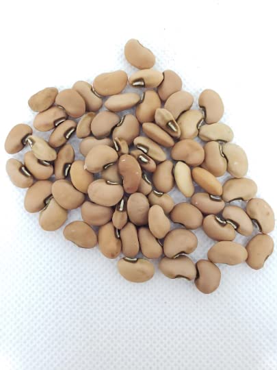 Amazon.com: Philippine Short Sitaw - Cow peas seeds 20+seeds : Patio ...