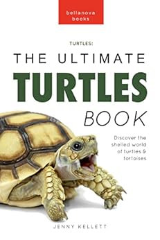 Amazon.com: Turtles The Ultimate Turtles Book: Discover the Shelled ...