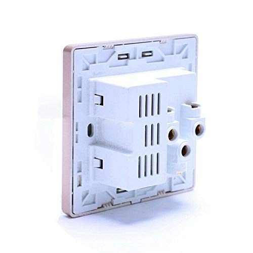 WHIZZO 2X(Wall Electrical 10A Universal Plug Faceplate Socket Double 2 ...