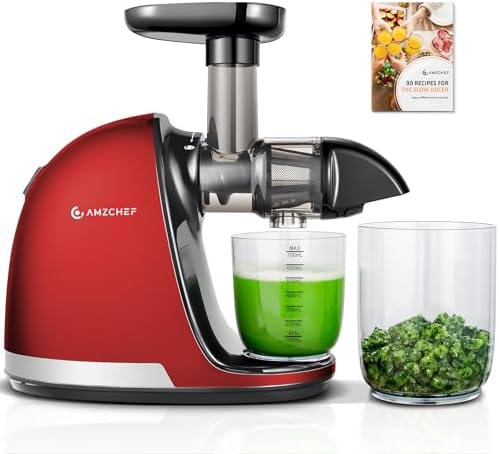 Amazon.com: Panasonic MJ-L500 Slow Juicer with Frozen Treat Attachment ...
