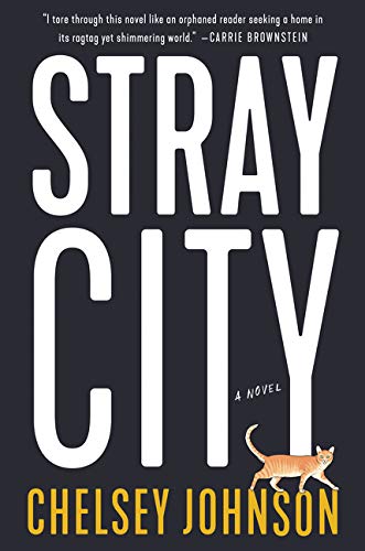Amazon.com: Stray City: A Novel: 9780062666680: Johnson, Chelsey: Books