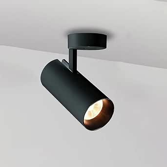 QYZXTH Stylish LED Ceiling Spotlight Surface Mounted Accent Spot Light ...