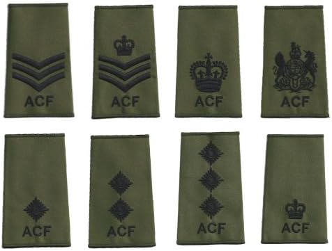 Amazon.com : ACF RANK SLIDES / ADULTS / OLIVE/ IN TWO'S (COL) : Patio ...