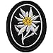 Amazon.com: WW2 German Mountain Division Elite Edelweiss Military Hook ...