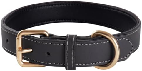 Genuine Leather Padded Dog Collar Comfortable Strong Soft Collars Best ...