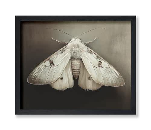 Amazon.com: Monem Art Vintage Moth Poster - Retro Butterfly Print ...