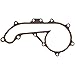 Amazon.com: FEL-PRO 35643 Water Pump Gasket : Automotive