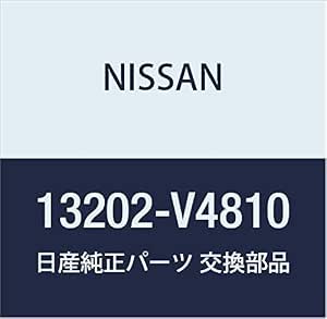 Amazon.com: NISSAN (nissan) Genuine Parts Valve Exhaust : Automotive