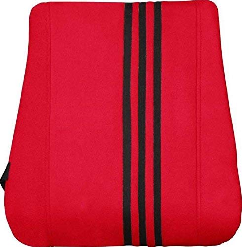 Easymart Backrest Executive Back Support orthopedic Back Rest AB03 Back ...