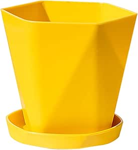 Amazon.com: 5 Inch Pots for Plants Indoor - Plastic Plant Pot - Small ...