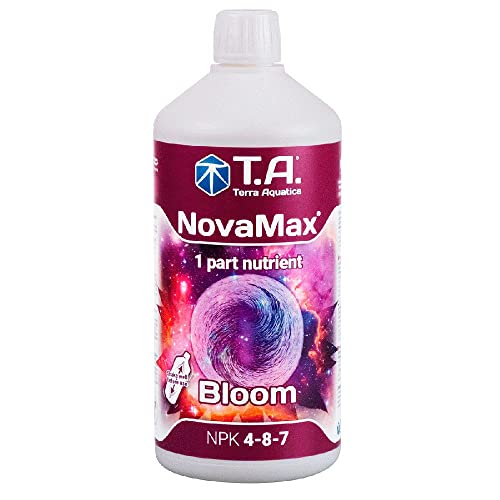 Flora Nova – Die 15 besten Produkte im Vergleich & Angebote ...