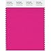 PANTONE Smart 18-2436X Color Swatch Card, Fuchsia Purple - House Paint ...