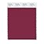 PANTONE Smart 19-2030X Color Swatch Card, Beet Red - House Paint ...