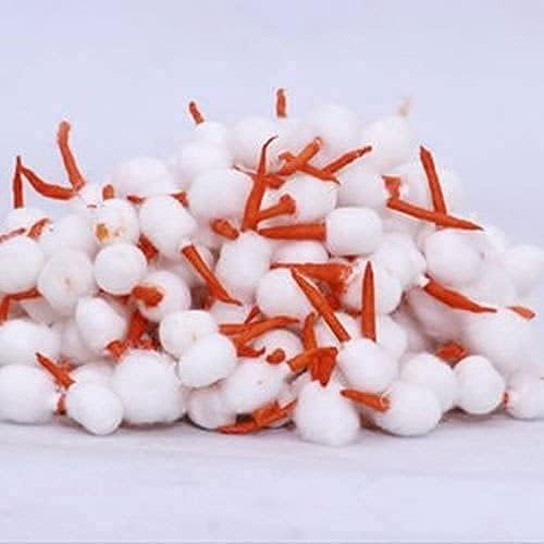 Webstar Cotton Wicks for Puja, (500 Pieces Saffron Color) Large Size ...