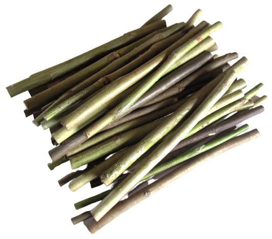Buy Lata | SAKHUA - Datun|Twig|Datwan|Stick | 10 pcs. Online at Low ...