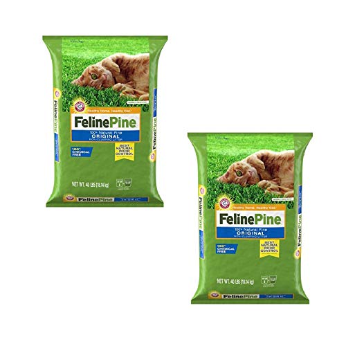Arena de pino para gatos: los 15 mejores productos comparados - Wild ...