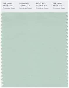 PANTONE SMART 13-5907X Color Swatch Card, Gossamer Green Color ...