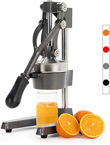 Top 10 Best Citrus Press in 2022 | Manual Citrus Juicer Press