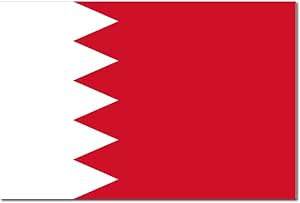 Amazon.com: Bahrain Flag Wood Signs Rustic Bahrain Wall Art Wood Plaque ...